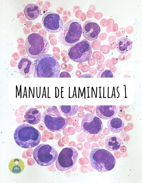 Manual de Laminillas 1 Histología | Erick Gómez | uDocz