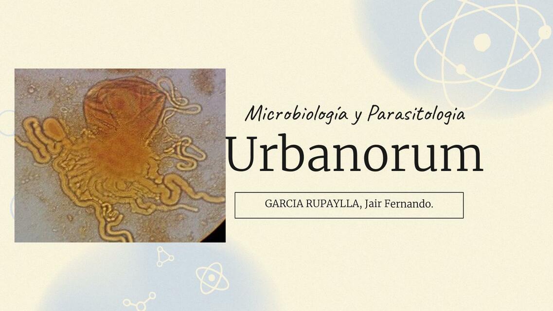 URBANORUM SP | Jair Fernando | uDocz