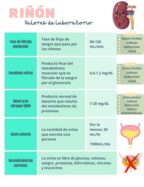 Valores renales de laboratorio | Iván Ayala Collado | uDocz