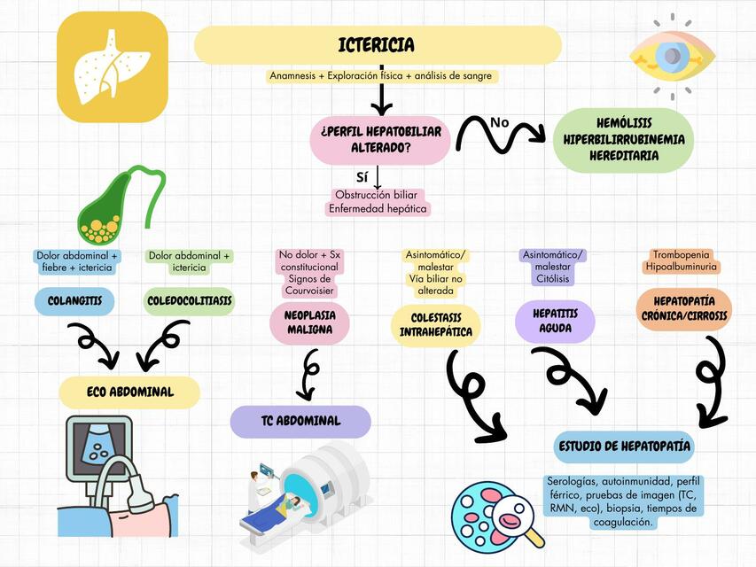 Resúmenes de Abordaje de diagnóstico | Descarga apuntes de Abordaje de ...