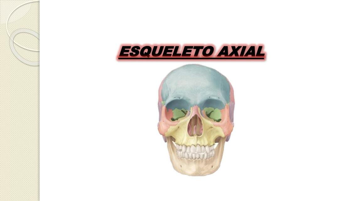 ESQUELETO AXIAL - ANATOMIA HUMANA | Daniel Briceño | uDocz