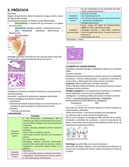 5 PROSTATA | MEDIKA NOTES | uDocz