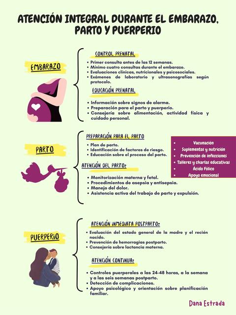 ATENCIÓN INTEGRAL DURANTE EL EMBARAZO PARTO Y PUERPERIO | Fer Zuleta | uDocz