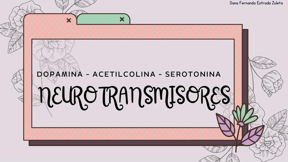 Flashcards de NEUROTRANSMISORES | Por Fer Zuleta | uDocz