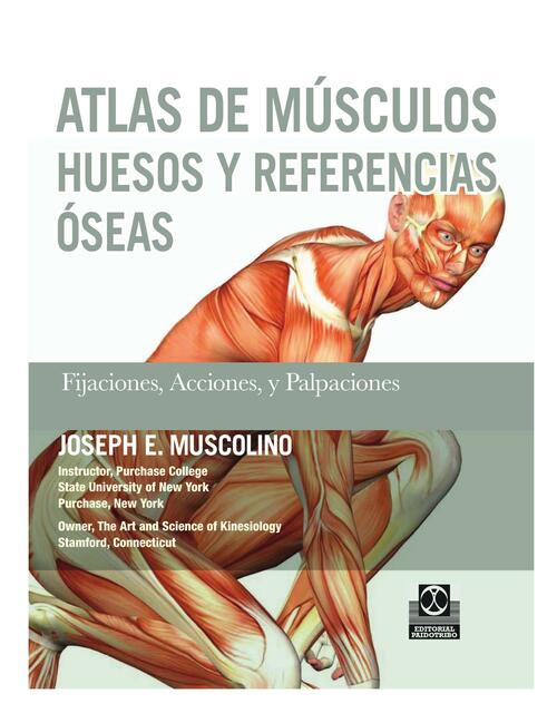 Libros de músculos del cuerpo humano: Atlas de músculos, huesos y ...
