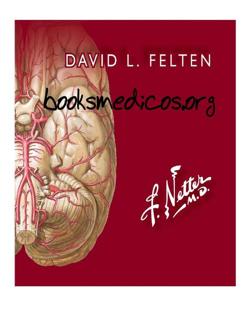 Netter Flashcards de neurociencia | juliana Mejia Quintero | uDocz