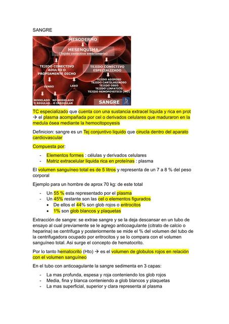 SANGRE | Agustina Quiles | uDocz