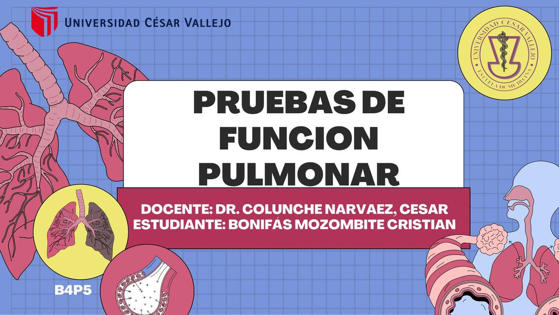 Flashcards de PRUEBAS DE FUNCIÓN PULMONAR BONIFÁS MOZOMBITE CRIS | Por Cristian Bonifás ...