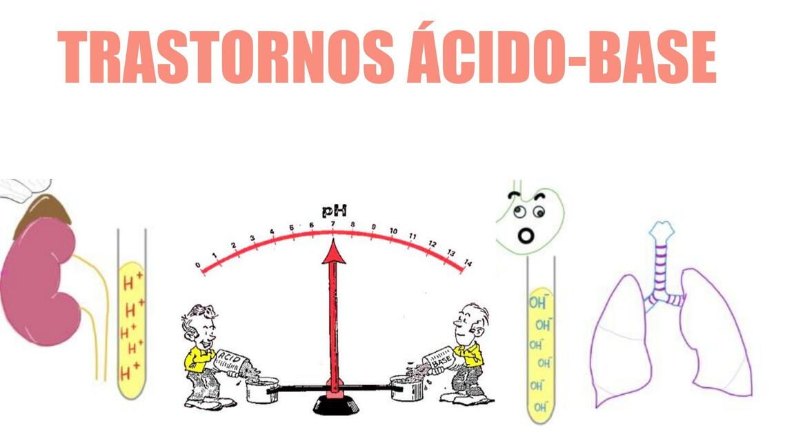 8 1 FISIOPATOLOGIA DE LOS TRASTORNOS ÁCIDO BASE | Briggitte Yamilé Suarez Esteban | uDocz