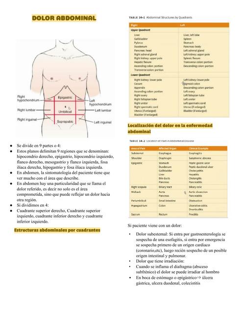 TEORIA 25 2 DOLOR ABDOMINAL docx | Piero Vega | uDocz