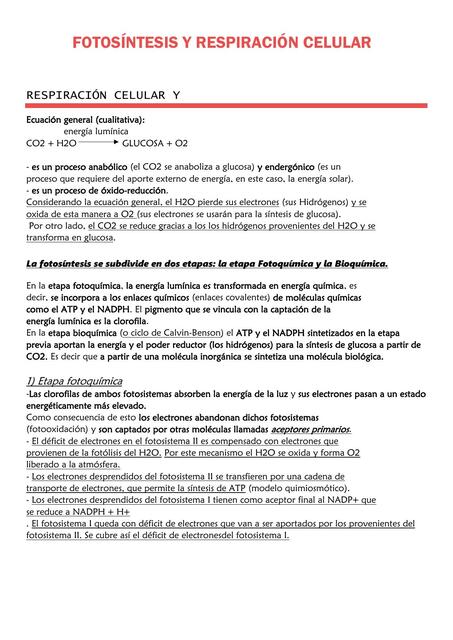 Fotosíntesis y respiración celular | Maite G.Rivas | uDocz