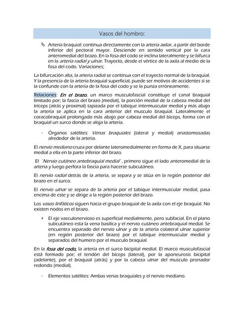 Miembro superior 2 | Luciana | uDocz