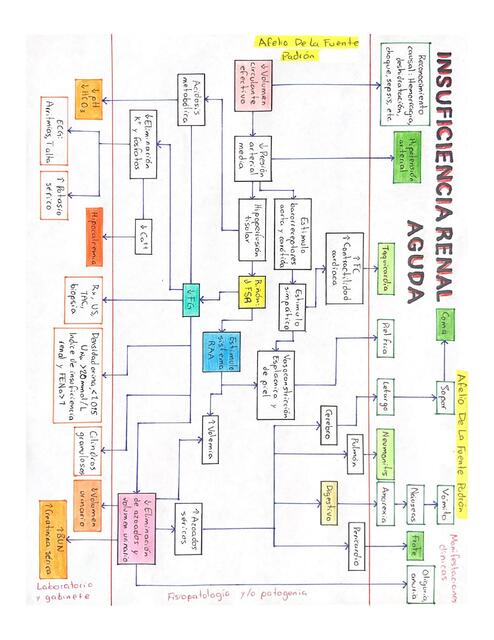 Fisiopatología Insuficiencia Renal Aguda y Crónica | Afelio De | uDocz