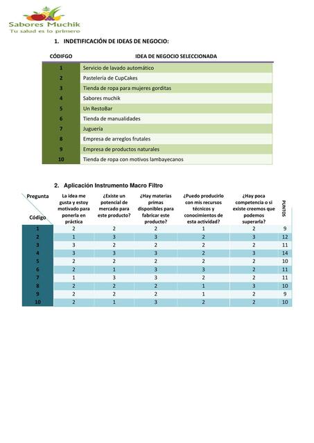Modelo Plan de Inversion Completo | Auber Fuentes Gonzales | uDocz