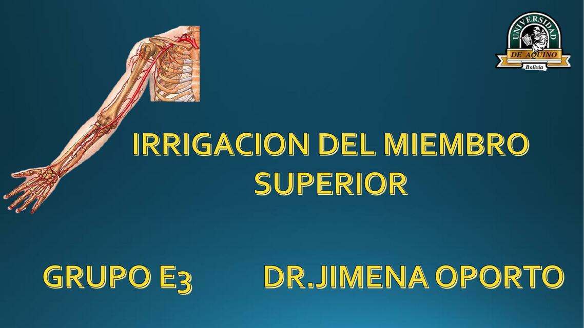 IRRIGACION DE MIEMBRO SUPERIOR | Anghelo Jesus Torres Vargas | uDocz