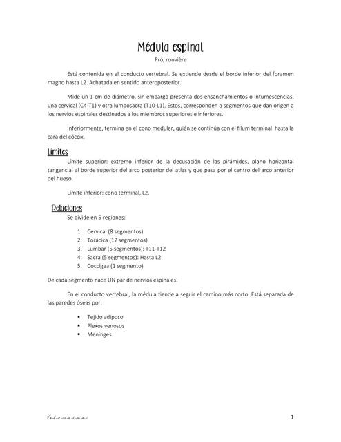 Médula espinal | Apuntes Medicos | uDocz Médula espinal | Apuntes Medicos | uDocz