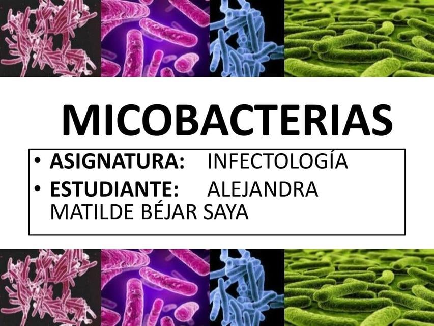 MICOBACTERIAS Mycobacterium tuberculosis, Mycobacterium leprae ...