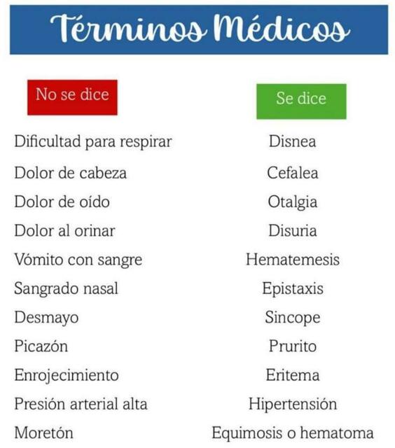 Terminos Medicos | YUDOC.ORG | uDocz