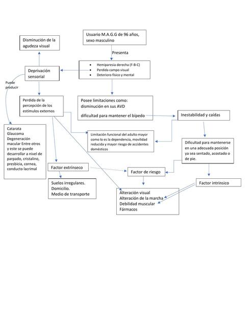 Mapa conceptual geriatría | Alex Alejandro | uDocz