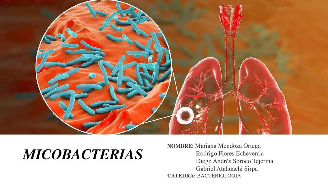 Micobacterias | Alexander Miranda | uDocz