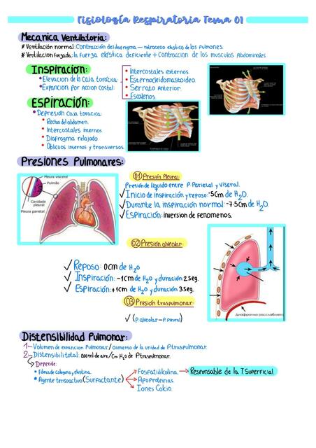 FISIOLOGIA RESPIRATORIA PARTE 1 | David Ramos | uDocz