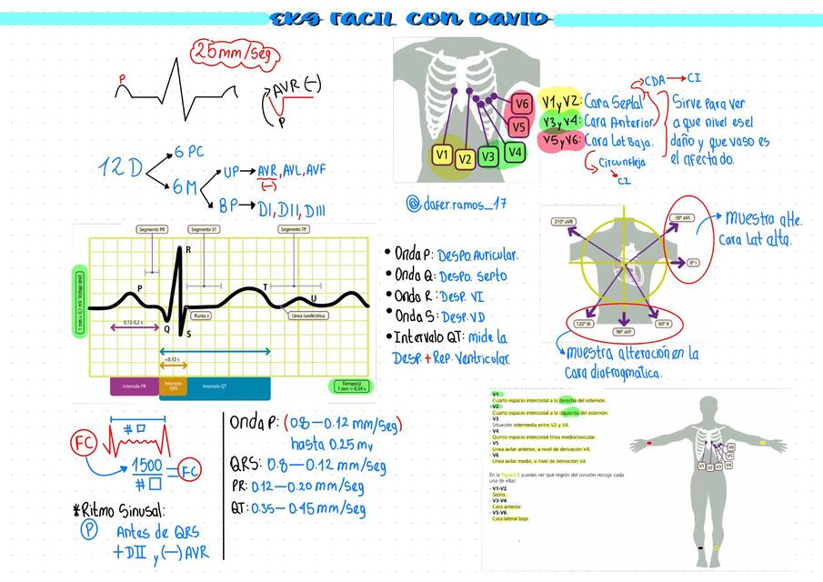 EKG | David Ramos | uDocz