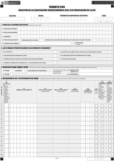Formato S100 | Nadin | uDocz