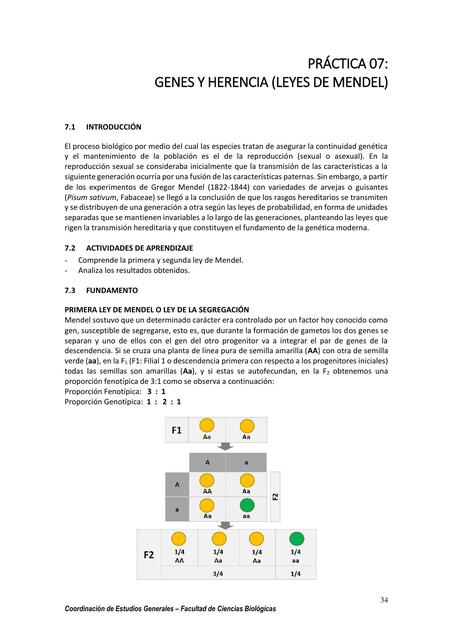 pract07 | Zillex | uDocz