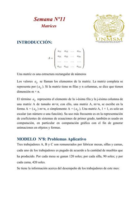 Matrices | KARLA PATRICIA | uDocz