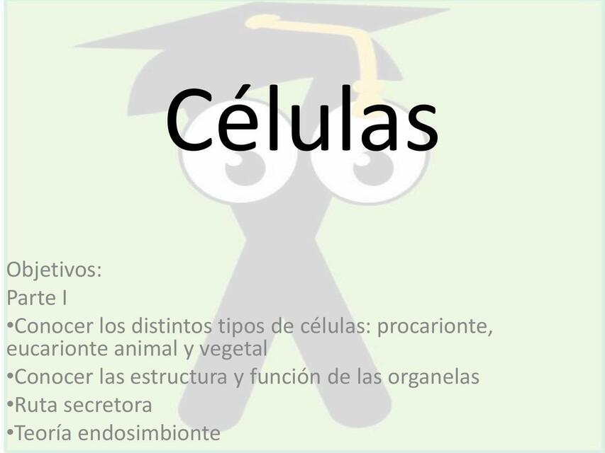 15 Célula | KARLA PATRICIA | uDocz