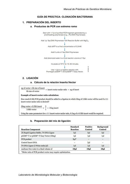 Guia de práctica | ANTHONY RUBEN | uDocz