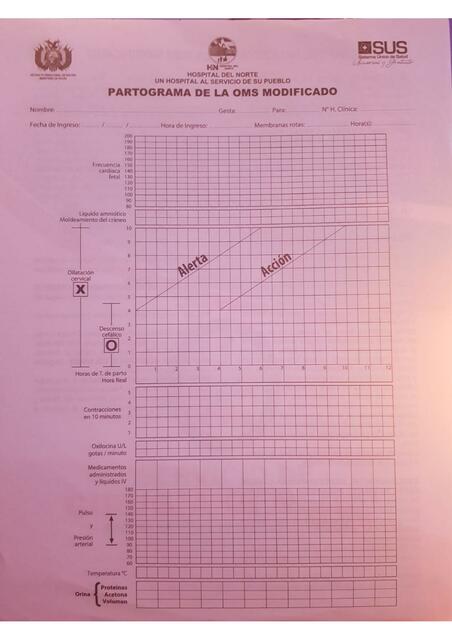 pdf converter | RUTH CACHI | uDocz