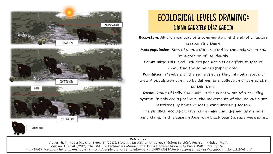 Ecological Levels (Scheme/Drawing) | Nonie Díaz | uDocz