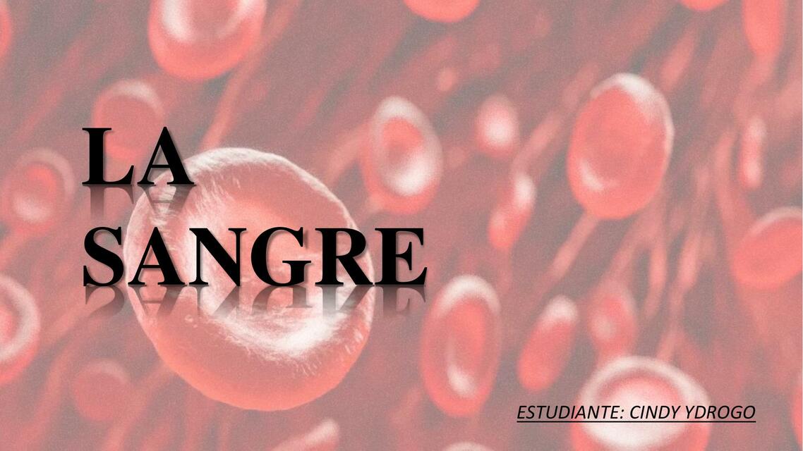 LA SANGRE | Working | uDocz
