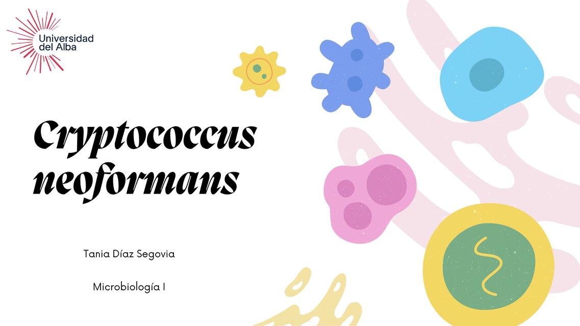 Cryptococcus neoformans | Tania Díaz | uDocz