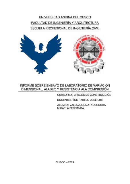 ENSAYO MICA | MICAELA FERNANDA VALENZUELA ATAUCONCHA | uDocz