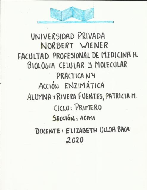 practica 4 bio | Patricia Rivera | uDocz