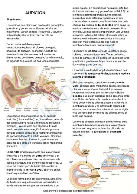 inbound | Sofía | uDocz