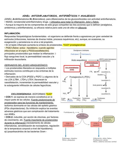 ANTIINFLAMATORIOS, ANTIPIRÉTICOS Y ANALGESICO (AINEs) | Lourdes Rosado | uDocz
