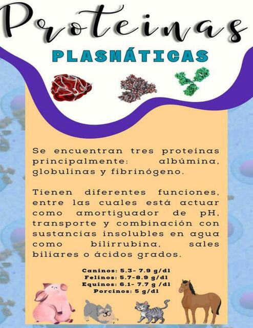 Proteinas plasmáticas | fraii | uDocz