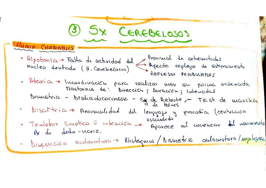 Síndromes Cerebelosos - fisiopatología | StudyWithMed | uDocz