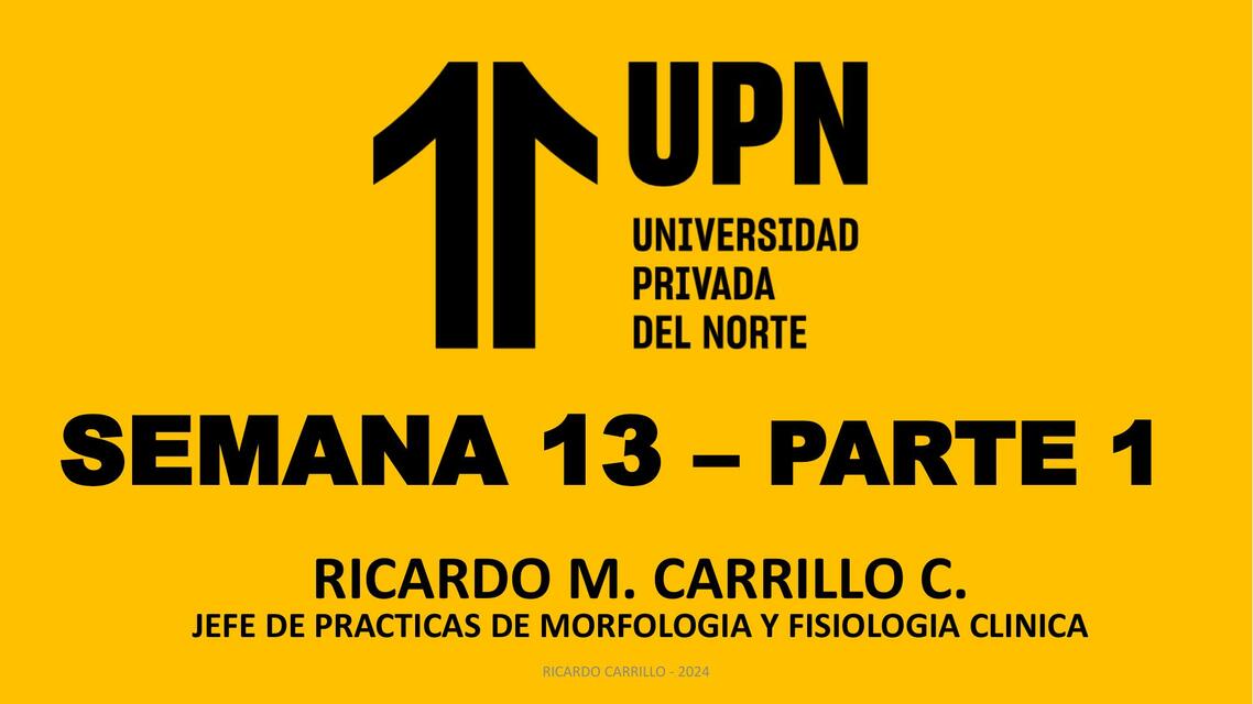 SEMANA 13 | tilin | uDocz