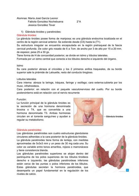 Tiroides | Fabiola Gonzalez | uDocz