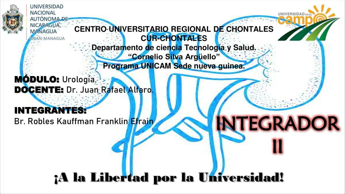 TRAUMA RENAL | Franklin robles | uDocz