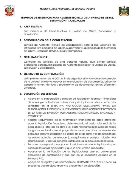 TDR DE ASISTENTE TECNICO | Antoni Olarte Gutiérrez | uDocz