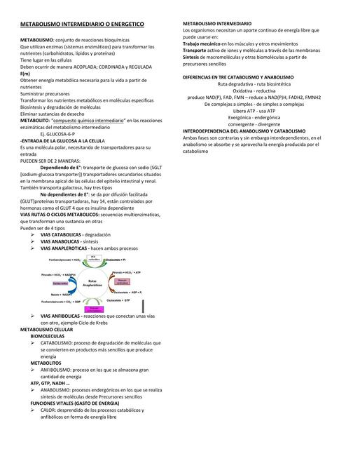 METABOLISMO | Alain Alvarez | uDocz