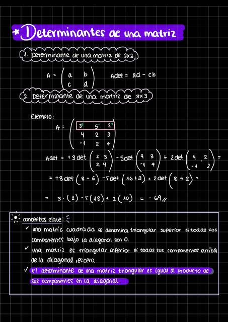 Determinante de una matriz | María ignacia | uDocz