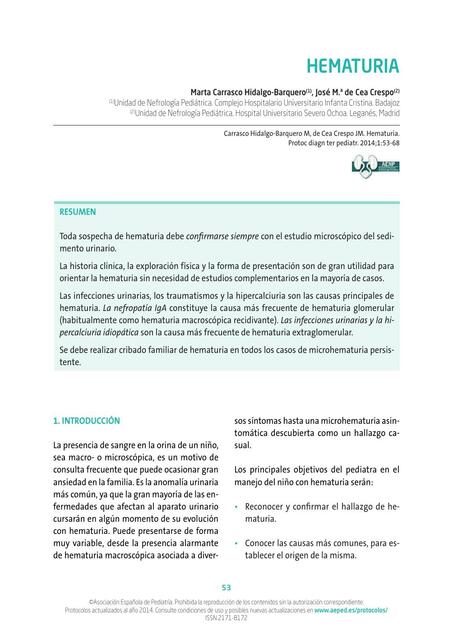 hematuria | FIDEL SEBASTIAN | uDocz