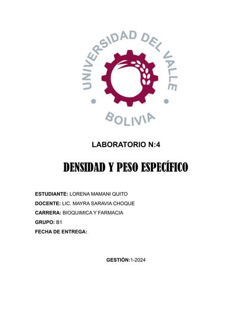 FORMATO DE CARATULA DE INFORME 4 1 | lorena mamani | uDocz
