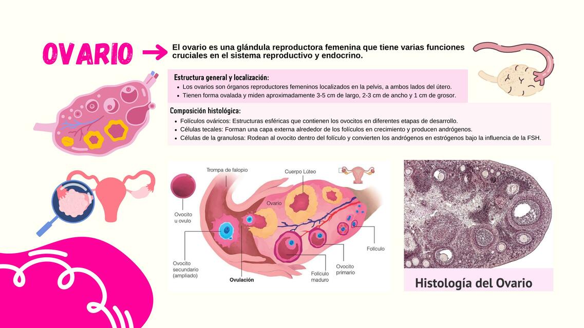SEMINARIO S14 | uDocz